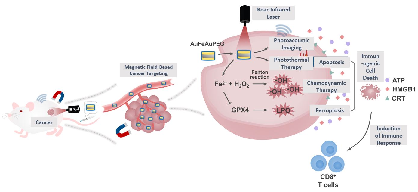 "All-in-One Smart Nanomaterial for Cancer Diagnosis, Treatment, and ...